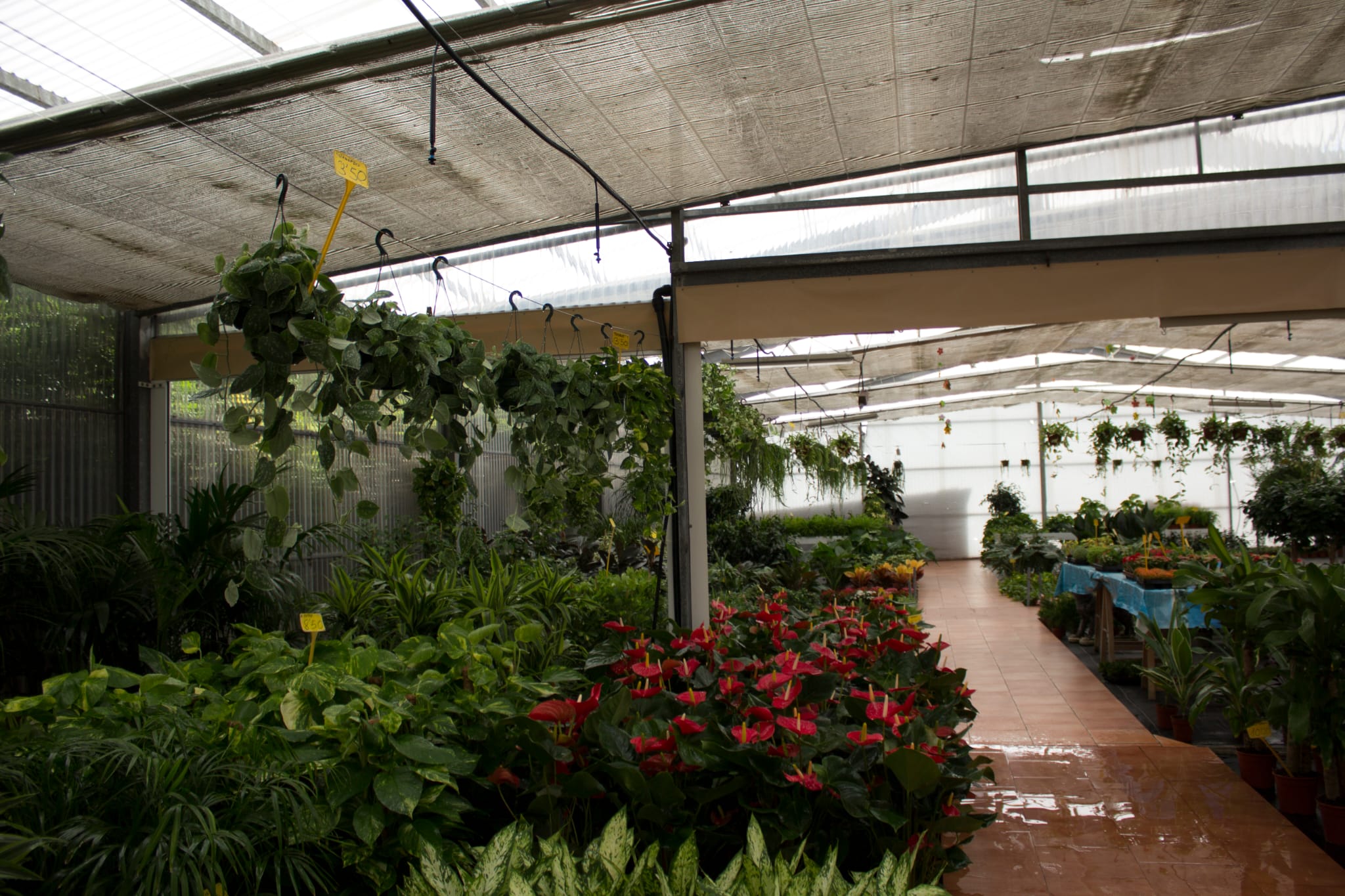 Instalaciones - Viveros Orts